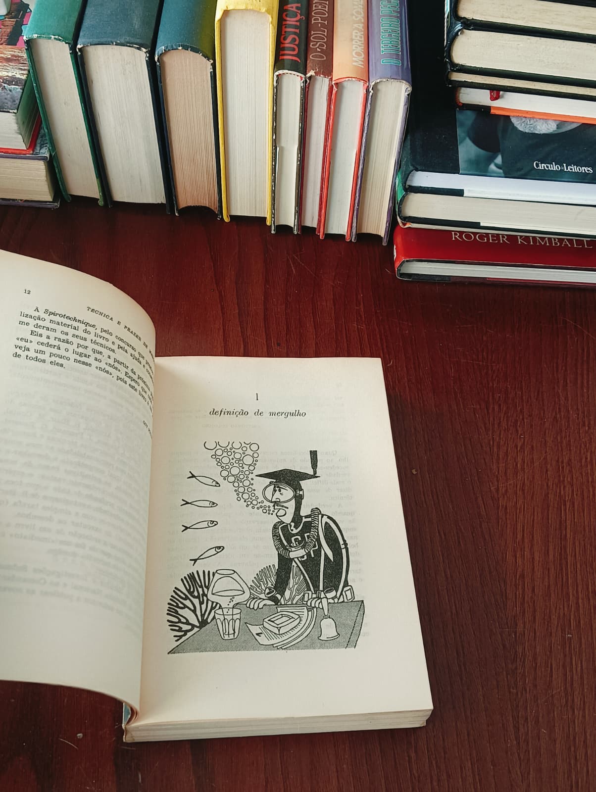 Técnica e Prazer de Mergulhar de Guy Polet - Manuseado